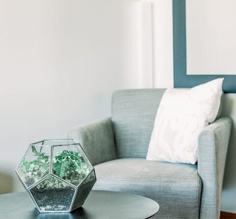 Steine Paints Limewash - Mortabond